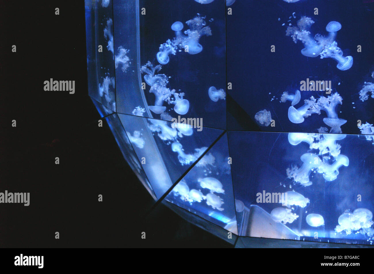 Fractals hi-res stock photography and images - Alamy