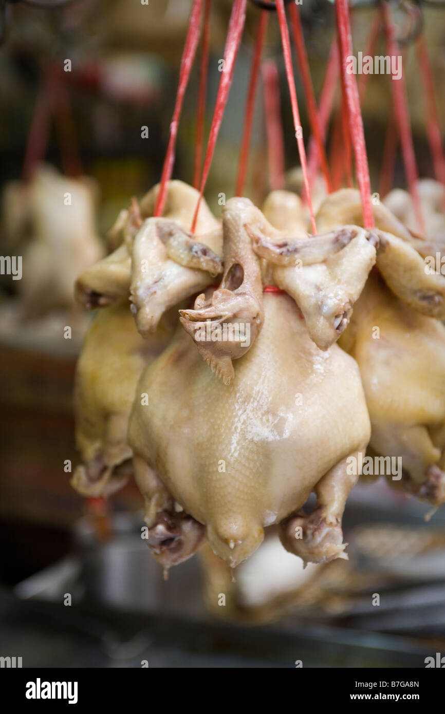 Hanging ducks hi-res stock photography and images - Alamy