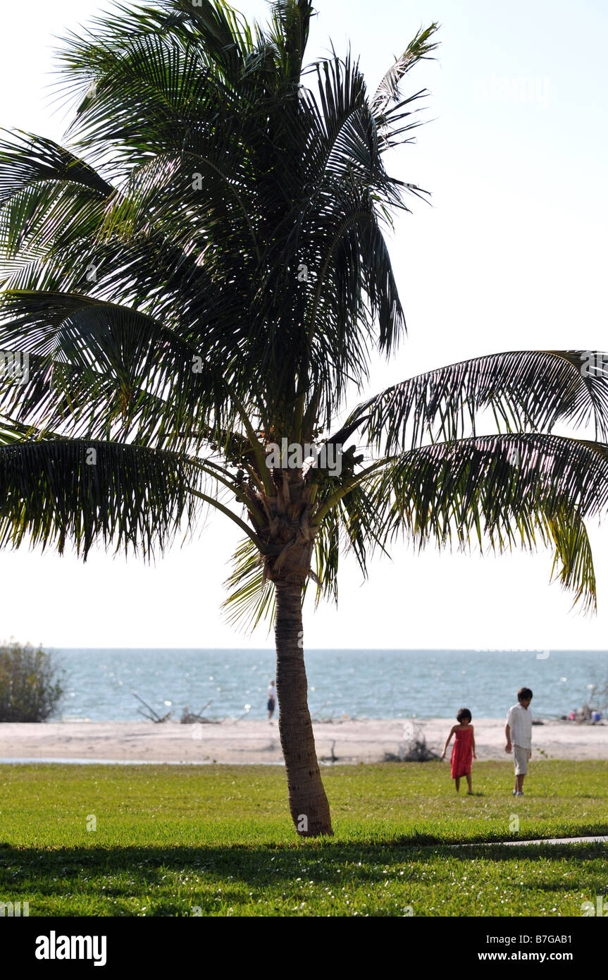 Two kids under palm tree Stock Photo - Alamy