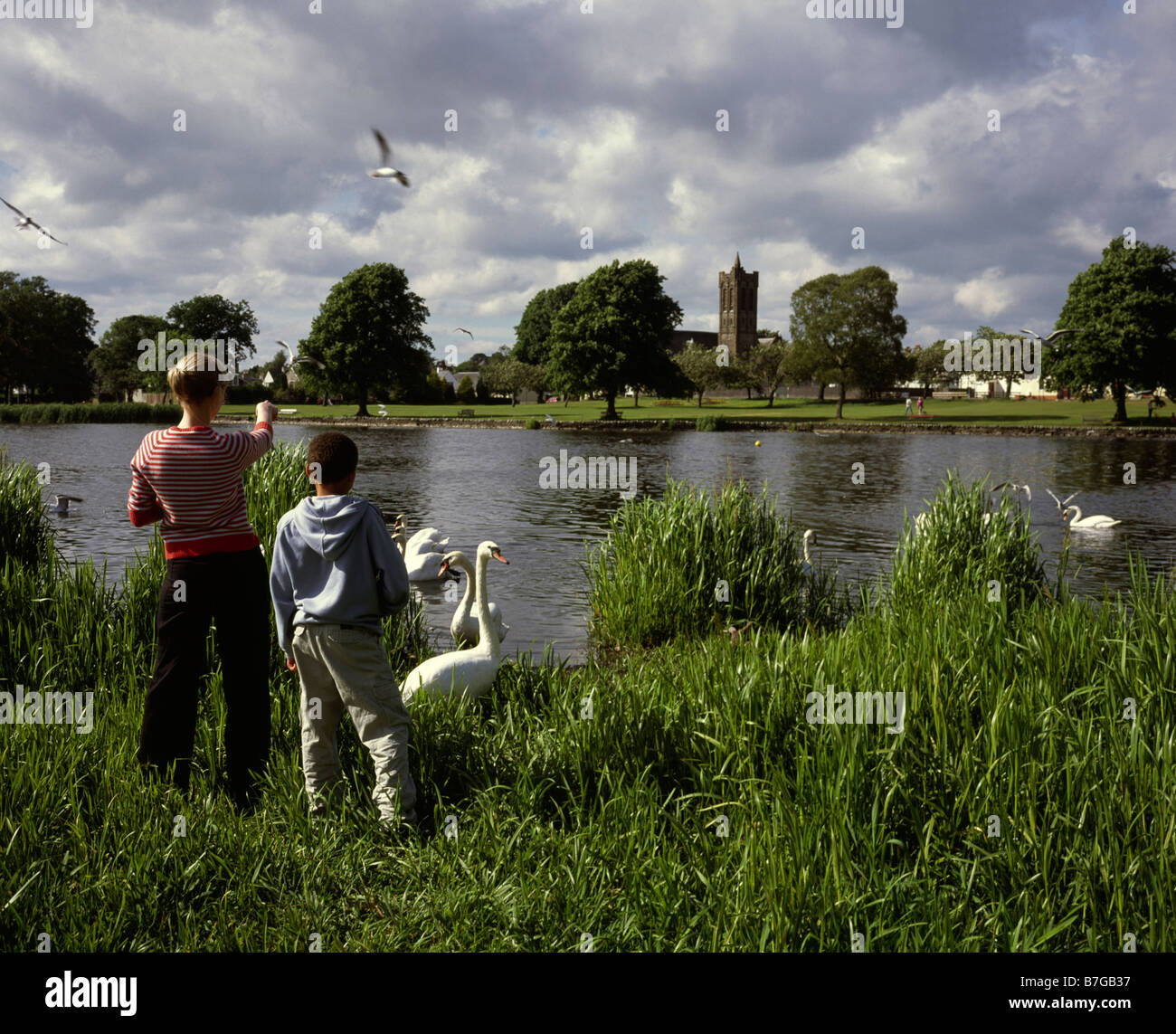 Ken Castle's Instagram, Twitter & Facebook on IDCrawl