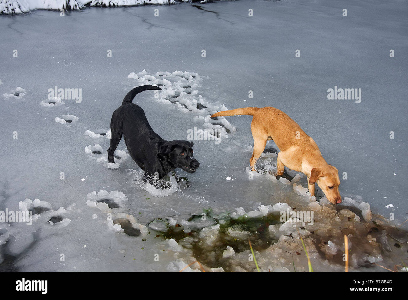 Scottish pursuits hi-res stock photography and images - Alamy