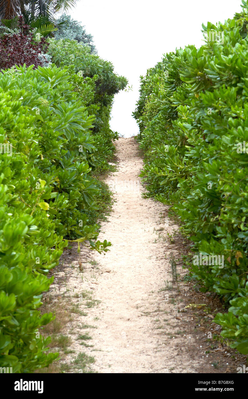 Tropical pathway to the beach. Lanikai, Oahu, Hawaii, USA Stock Photo ...
