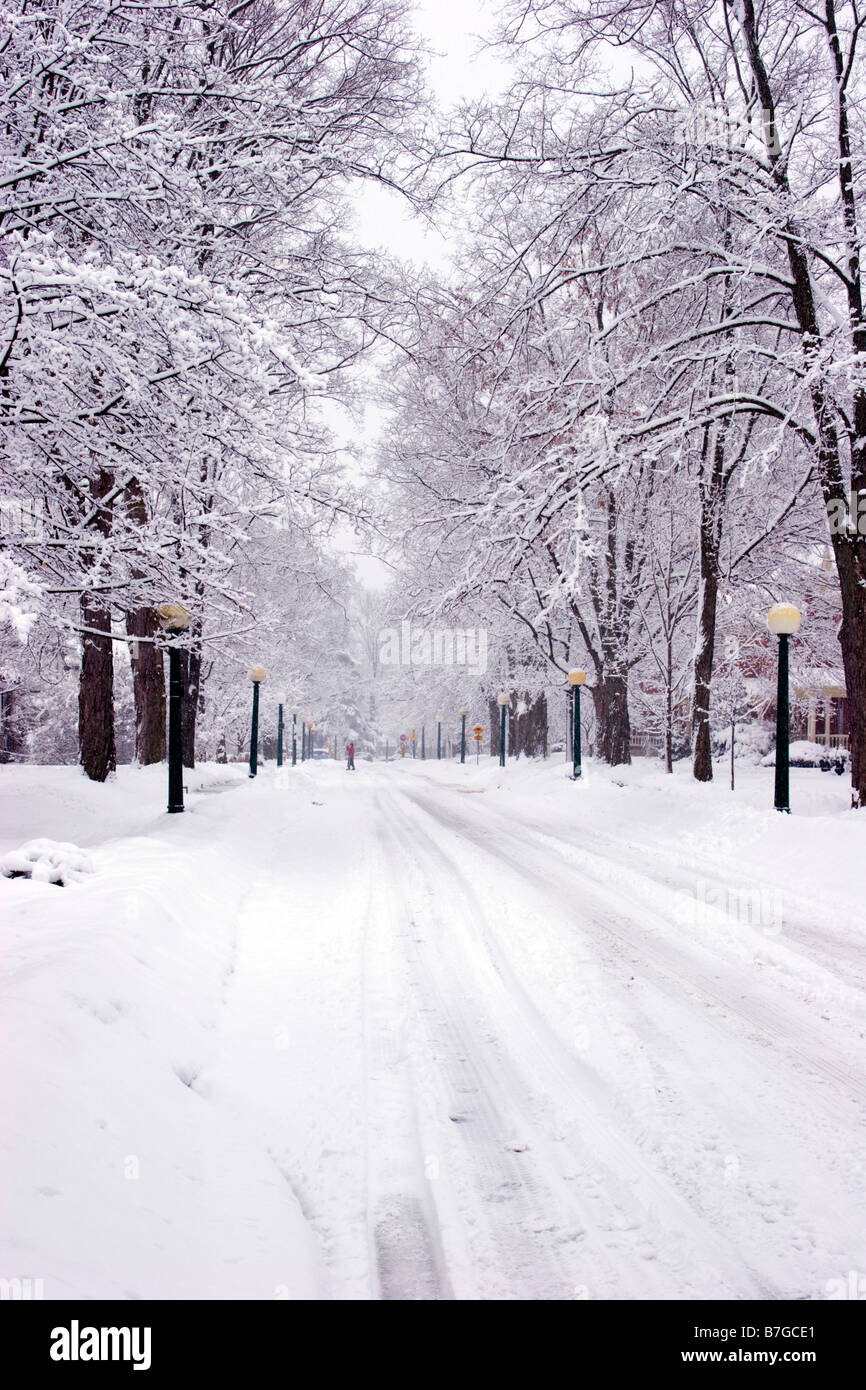Cambridge ON Canada city street during snow storm Stock Photo - Alamy