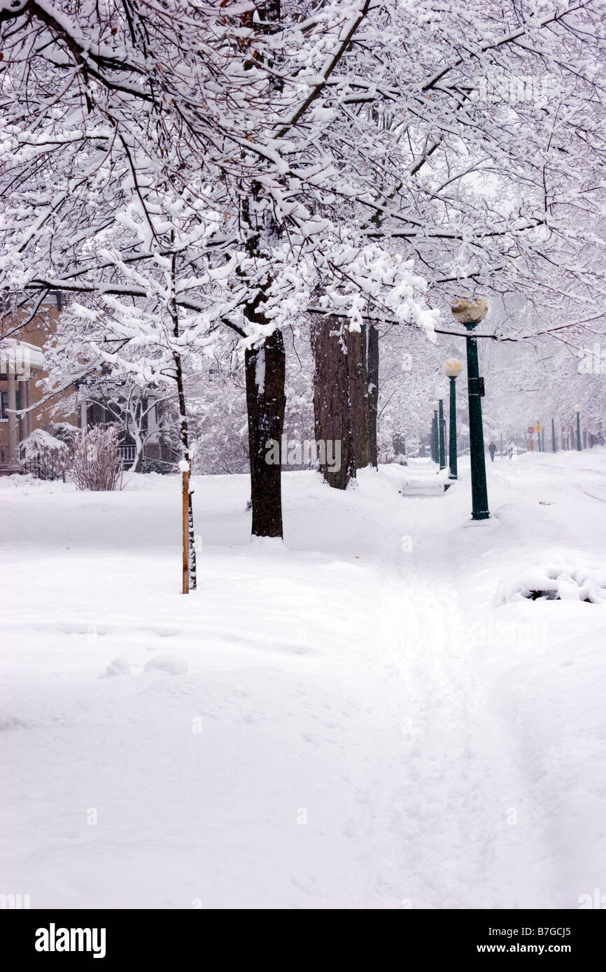 Cambridge ON Canada city street during snow storm Stock Photo - Alamy