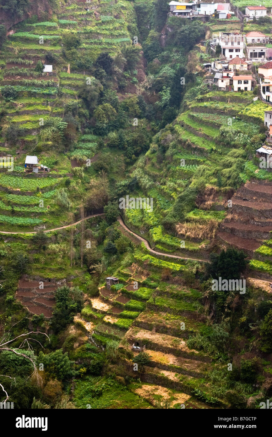 Terrace farming steep hi-res stock photography and images - Alamy