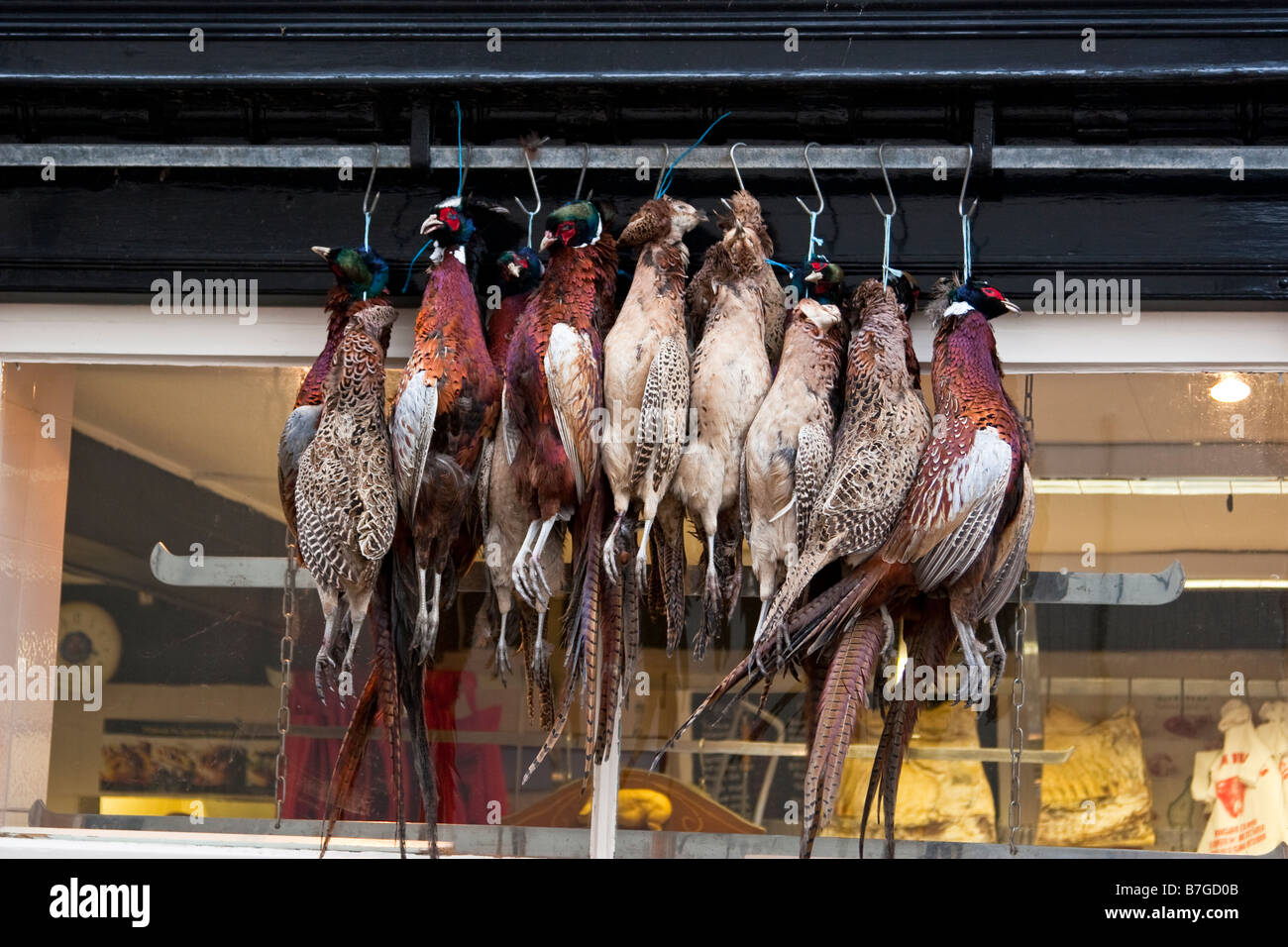 Pheasants hanging outside a butchers shop Stock Photo - Alamy