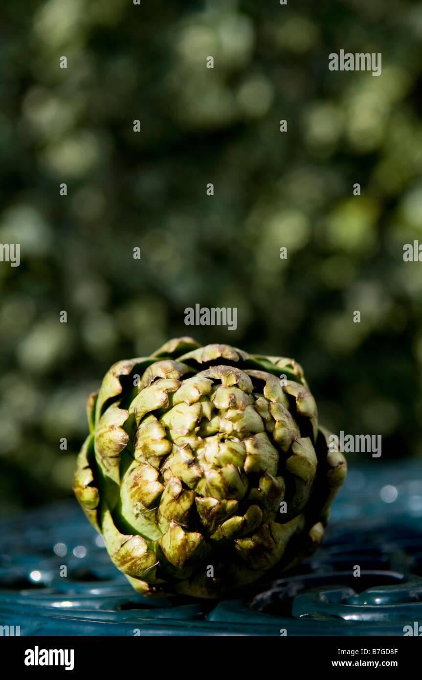 Outdoor photograph hi-res stock photography and images - Alamy