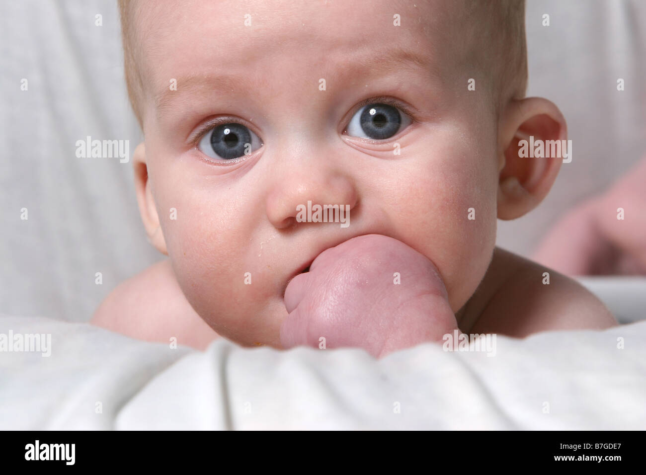 baby chewing on fingers Stock Photo - Alamy