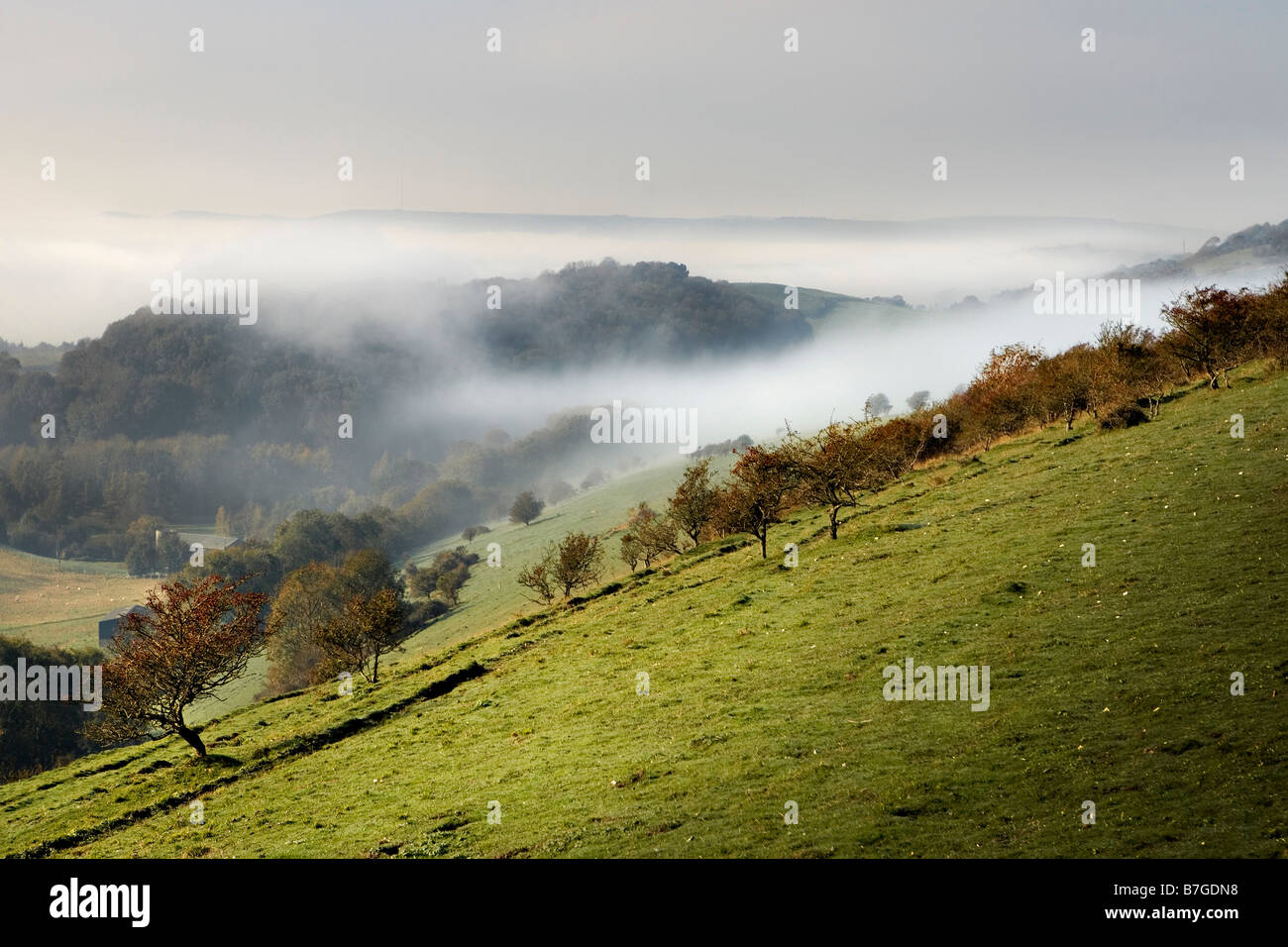 Mist Over Isle of Wight Countryside Stock Photo - Alamy