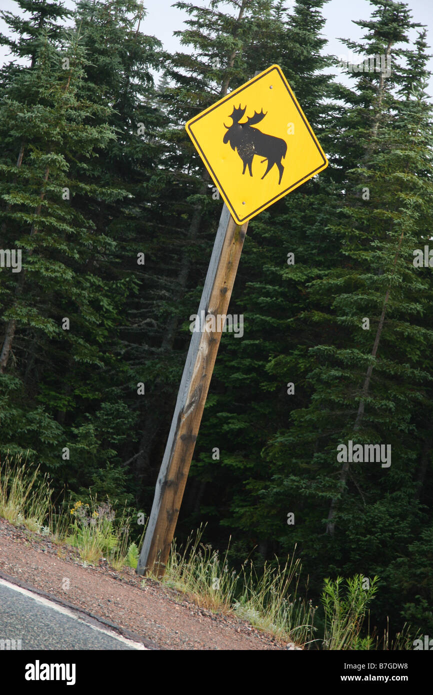 a road sign for moose Stock Photo - Alamy