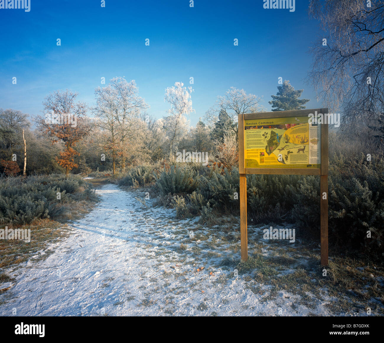 Keston common hi-res stock photography and images - Alamy