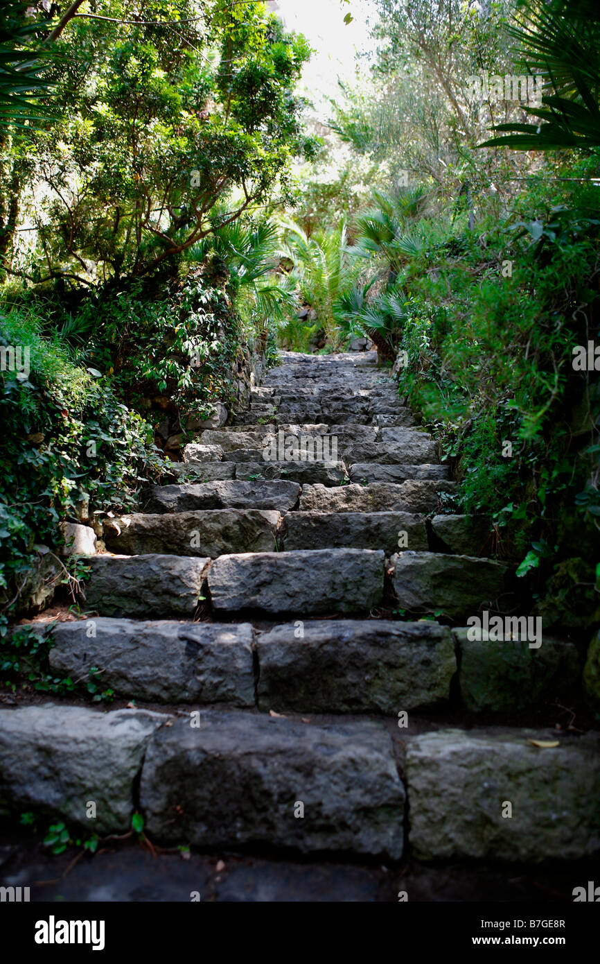 Park Spa Negombo Ischia island Naples Campania Italy Stock Photo - Alamy