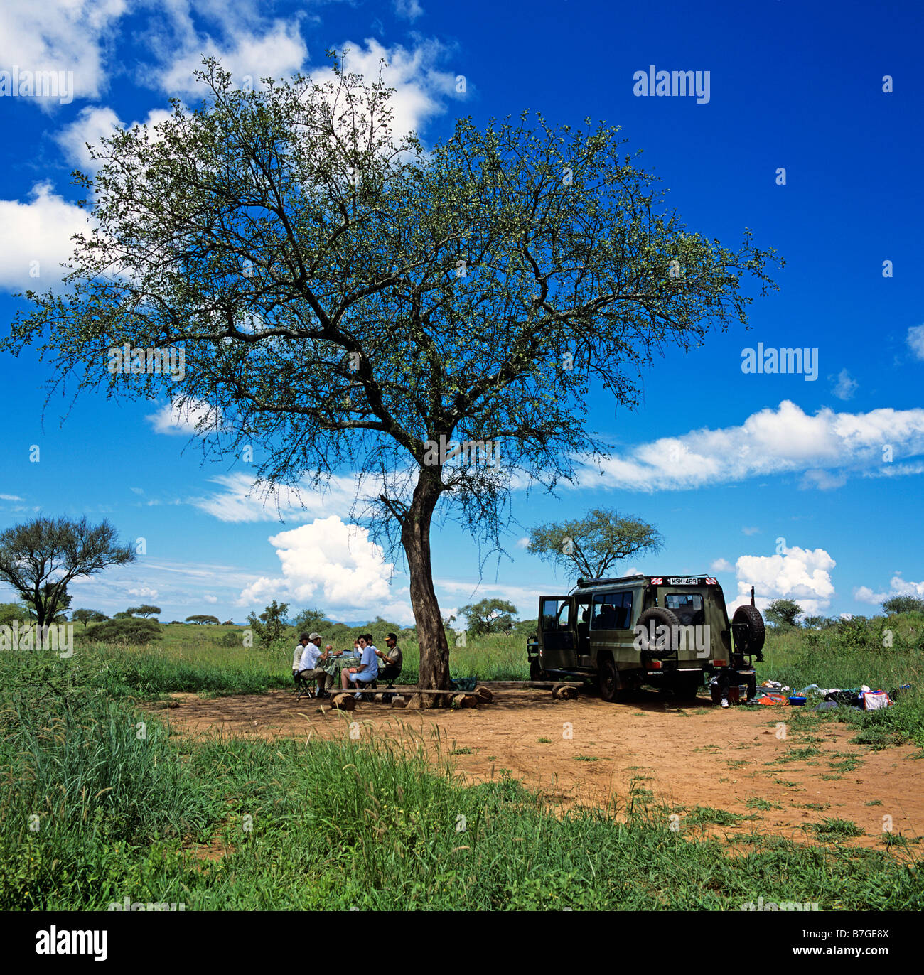 Safari Lunch Serengeti game park Tanzania East Africa Stock Photo - Alamy