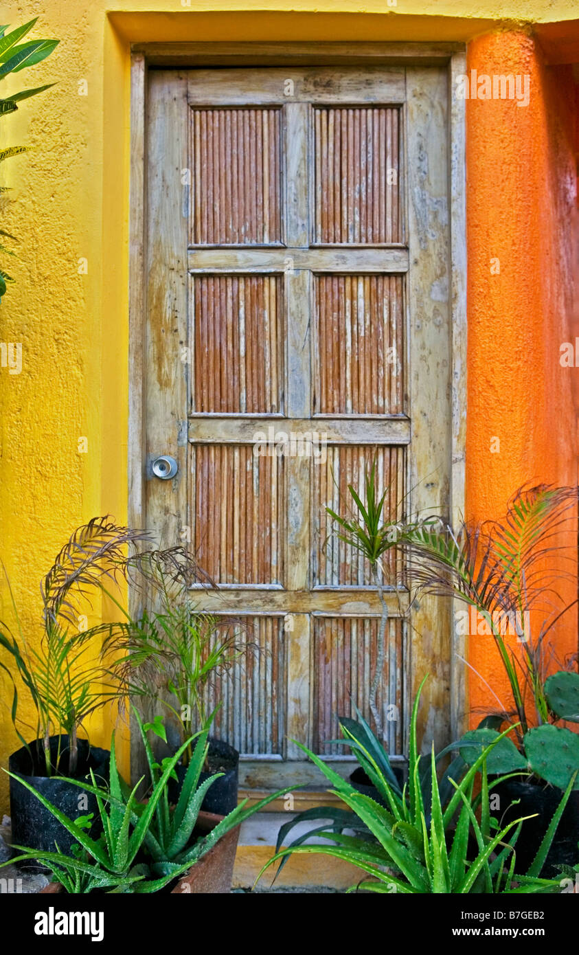 Bamboo door with potted plants and colorful walls at sunrise in the ...