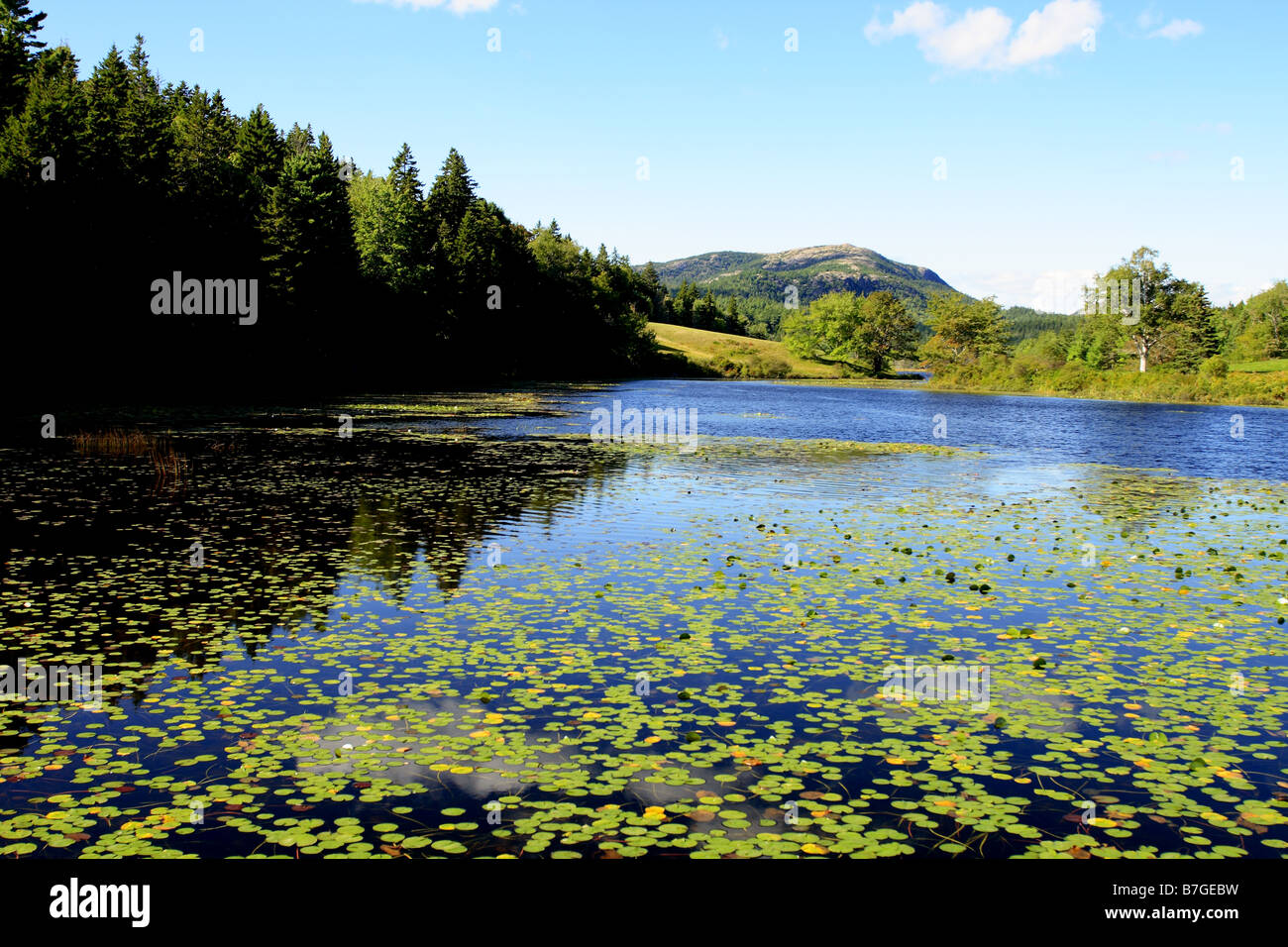 Island cove pond hi-res stock photography and images - Alamy