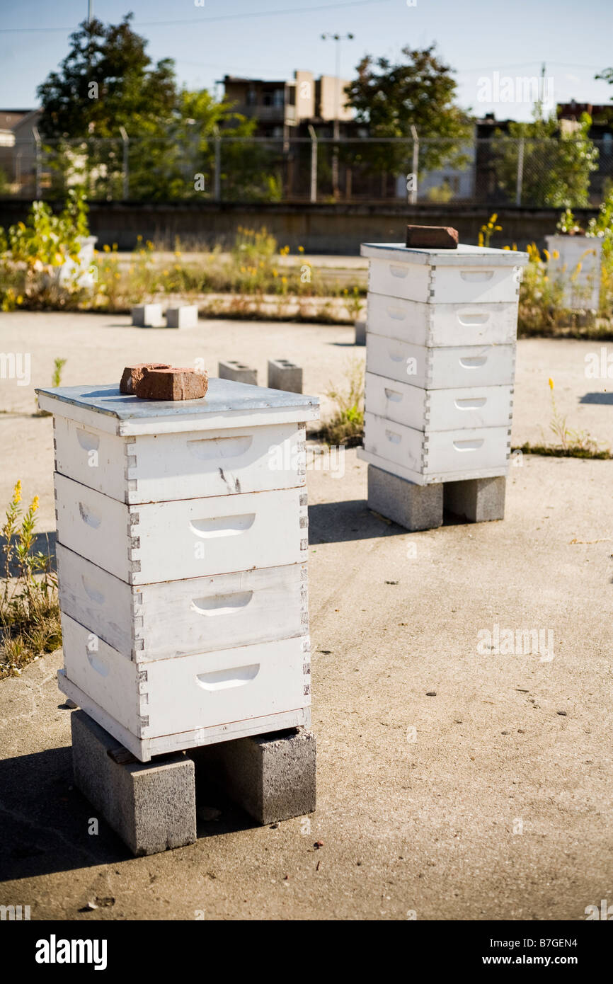 Empty parking lot chicago hi-res stock photography and images - Alamy