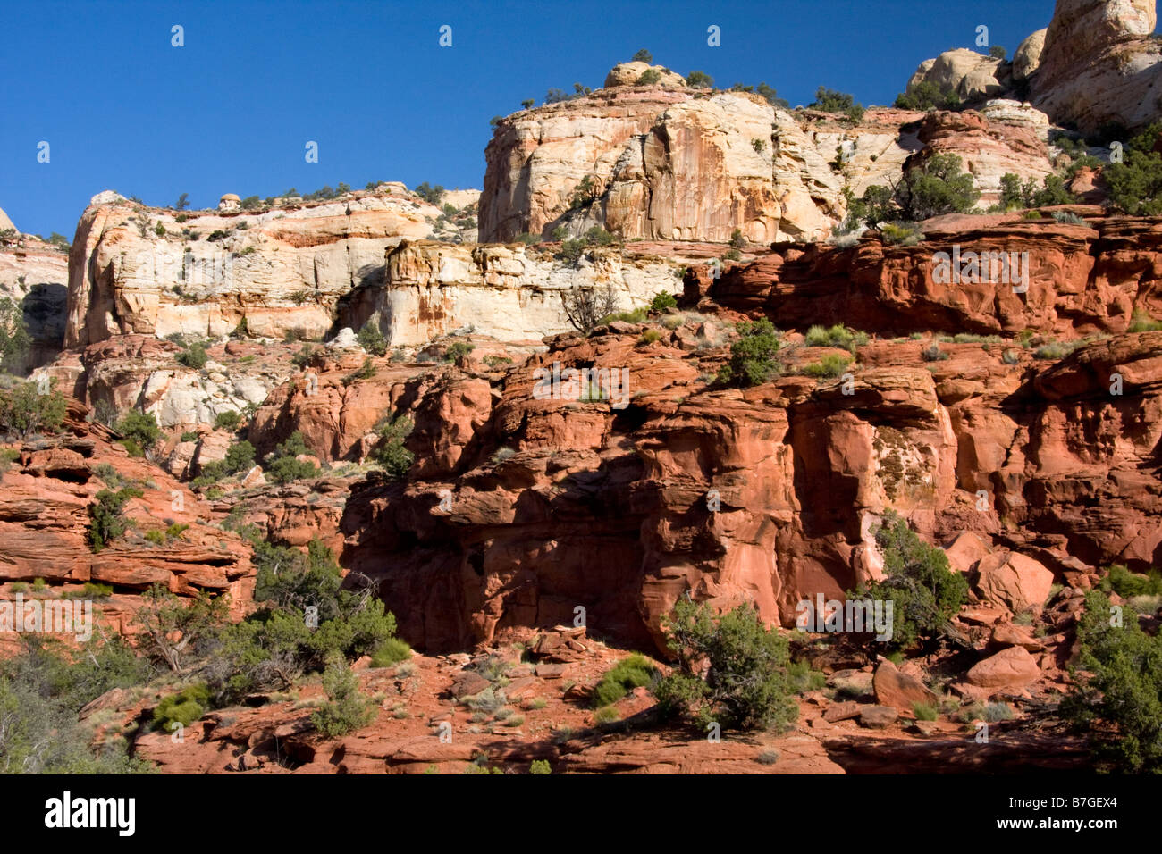 Calf creek hi-res stock photography and images - Alamy