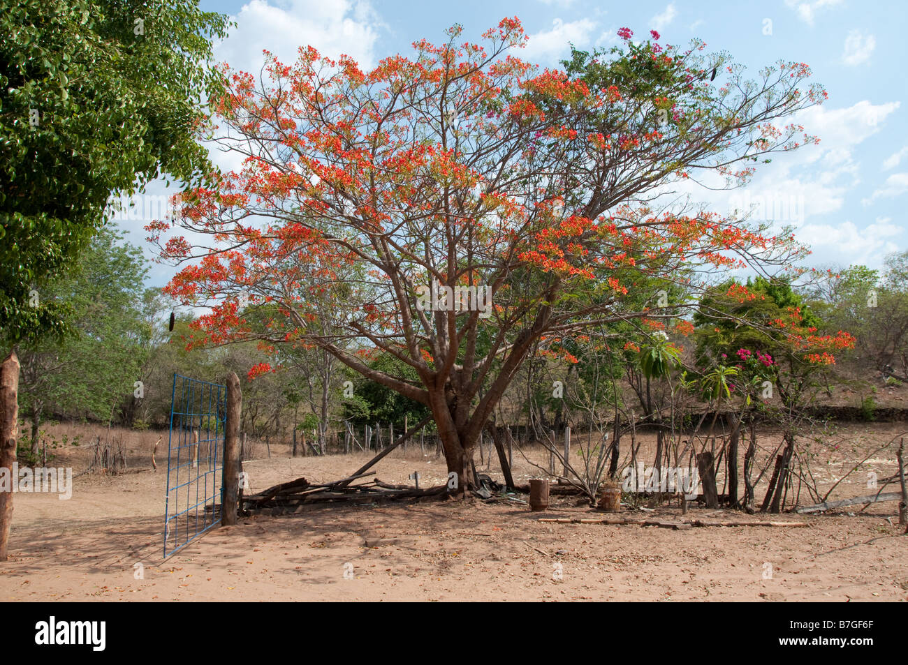 Barreiras hi-res stock photography and images - Alamy