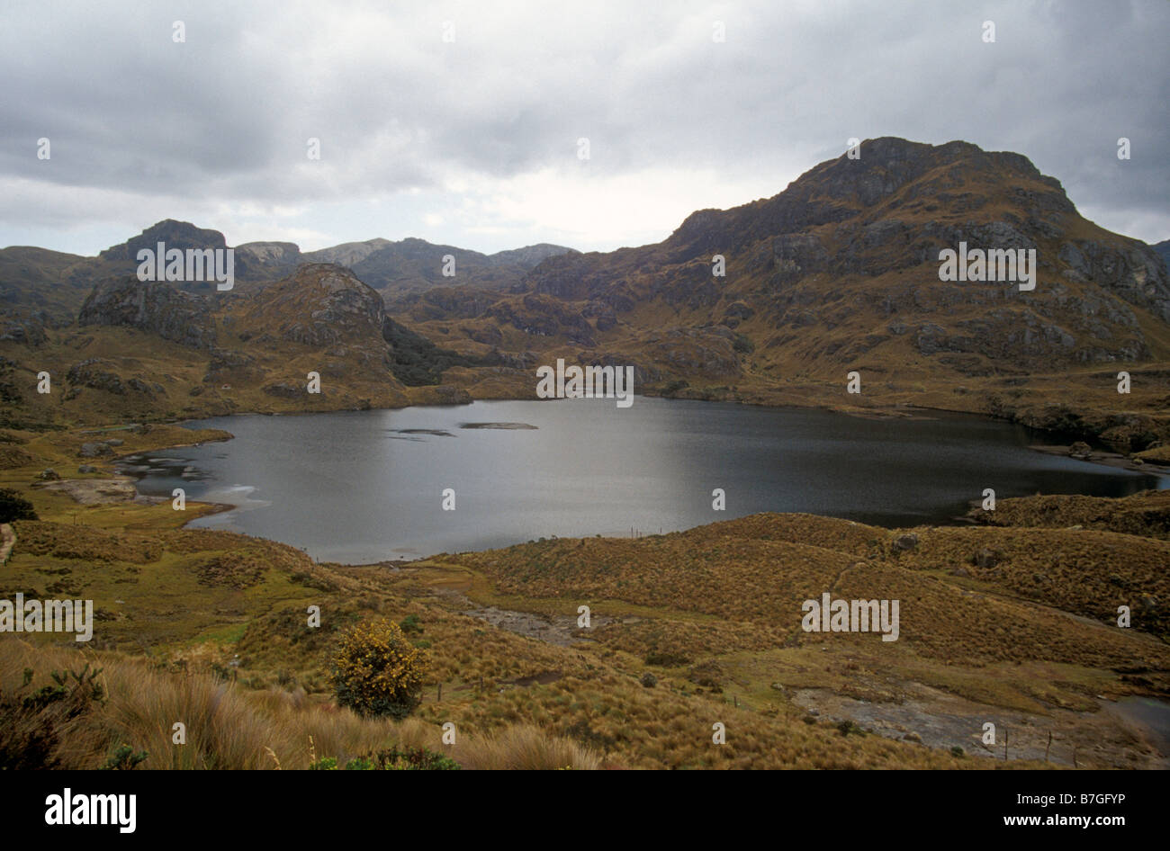 Andean ecosystems hi-res stock photography and images - Alamy