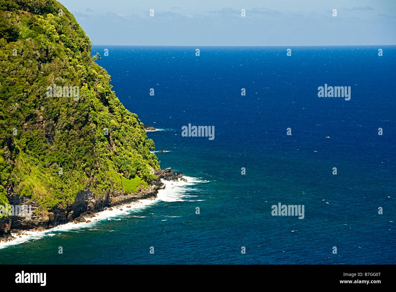 lush green tropical foliage with blue sky and pacific ocean water Stock ...