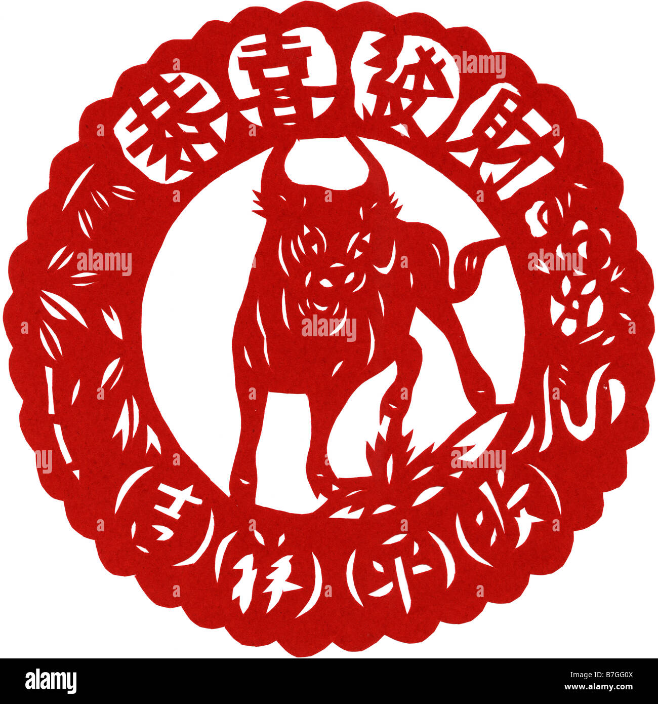 Chinese hand made paper cut depicting an Ox and message in Chinese ...