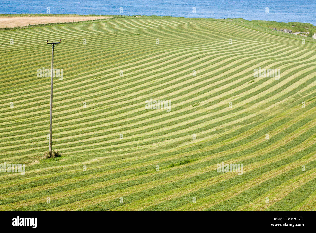 Hydro pole hi-res stock photography and images - Alamy