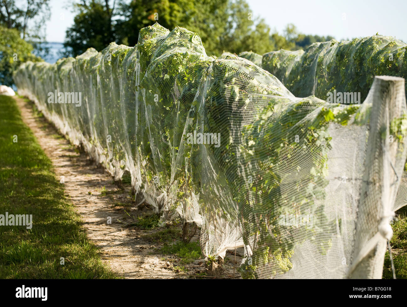 Safety netting protection hi-res stock photography and images - Alamy