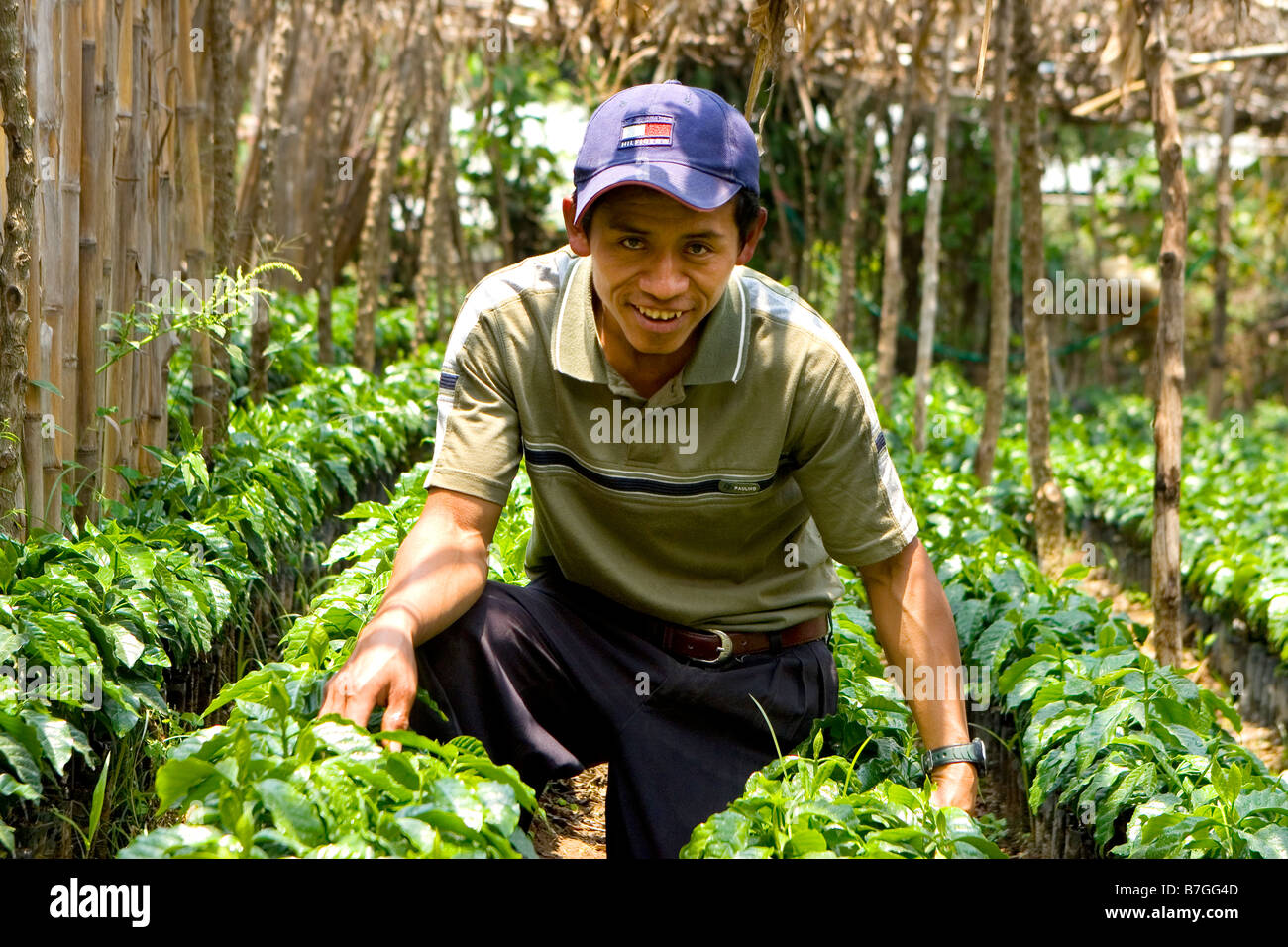 Hombre guatemalteco hi-res stock photography and images - Alamy