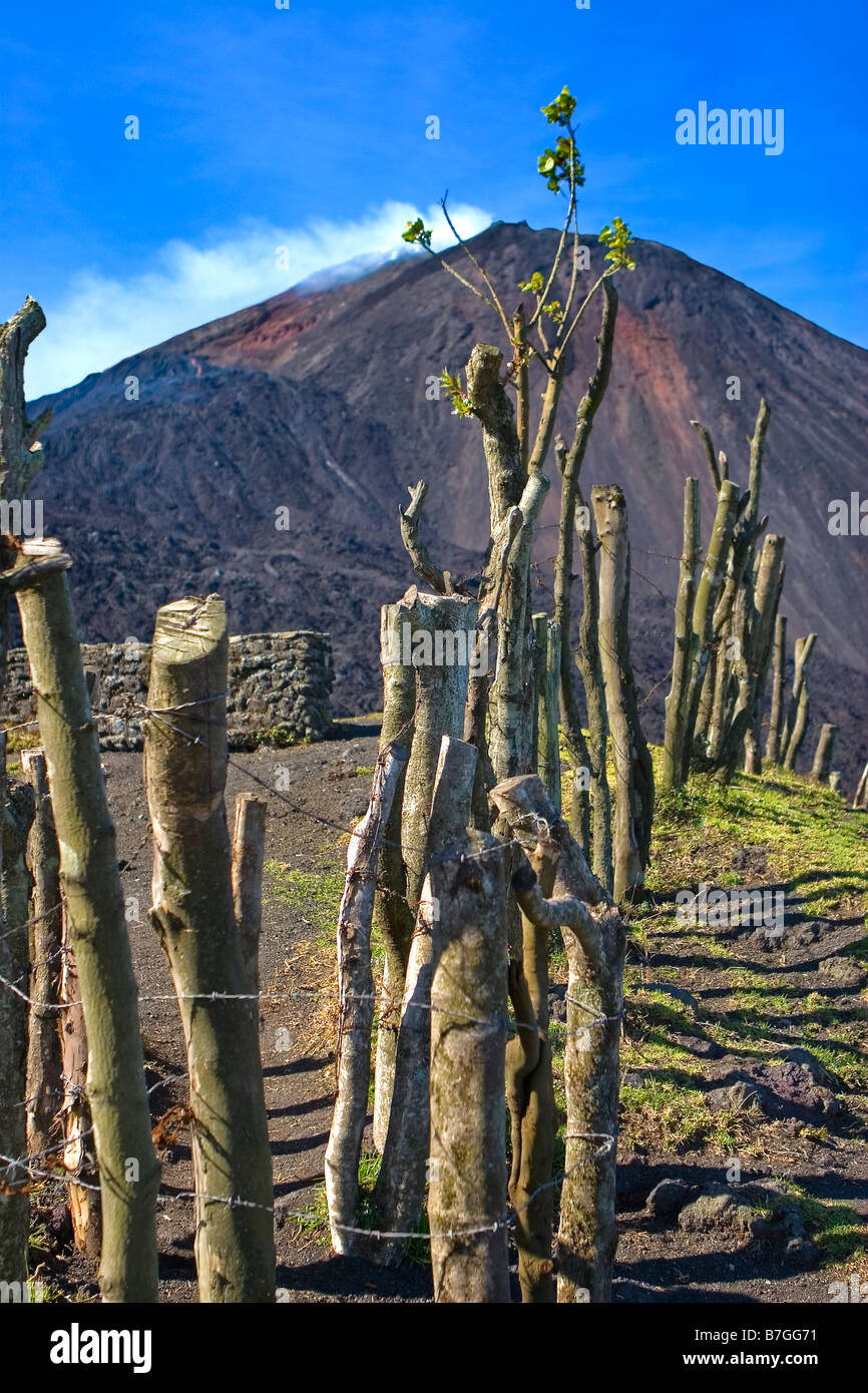 A fence of tree stumps and barbed wire on the trail to the Volcan de ...