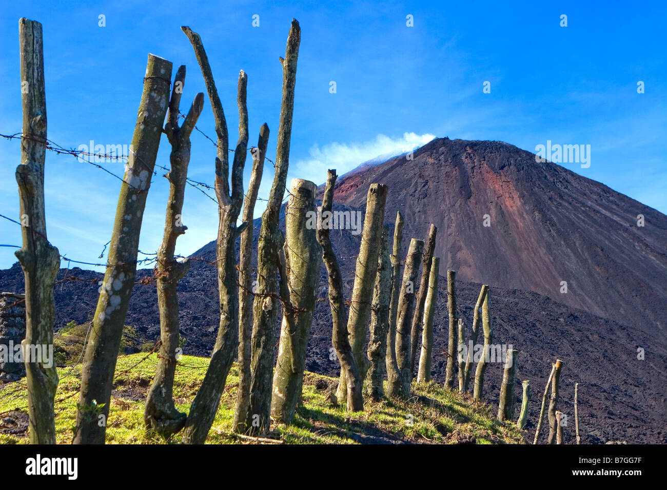A fence of tree stumps and barbed wire on the trail to the Volcan de ...