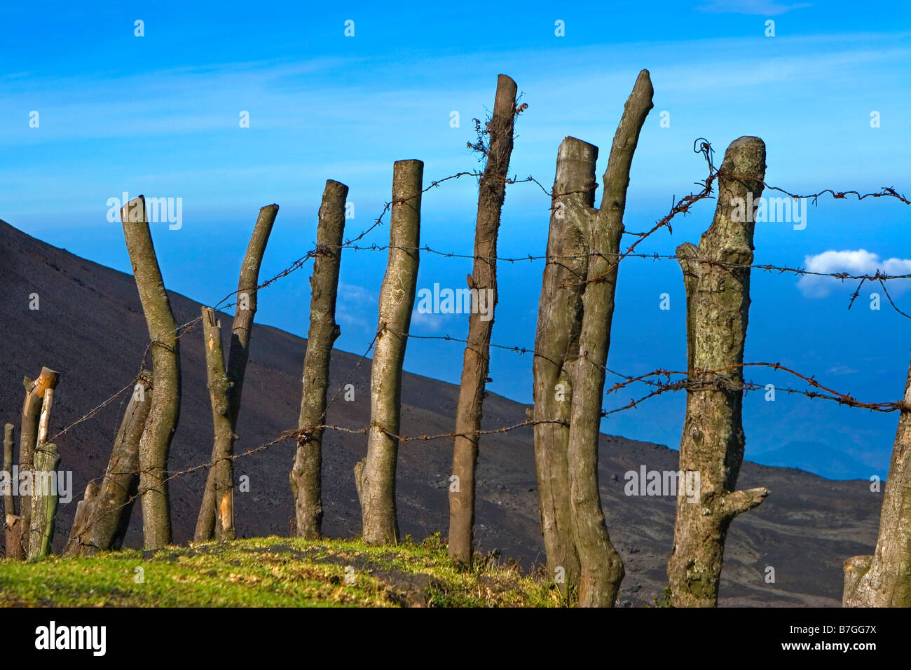 A fence of tree stumps and barbed wire on the trail to the Volcan de ...