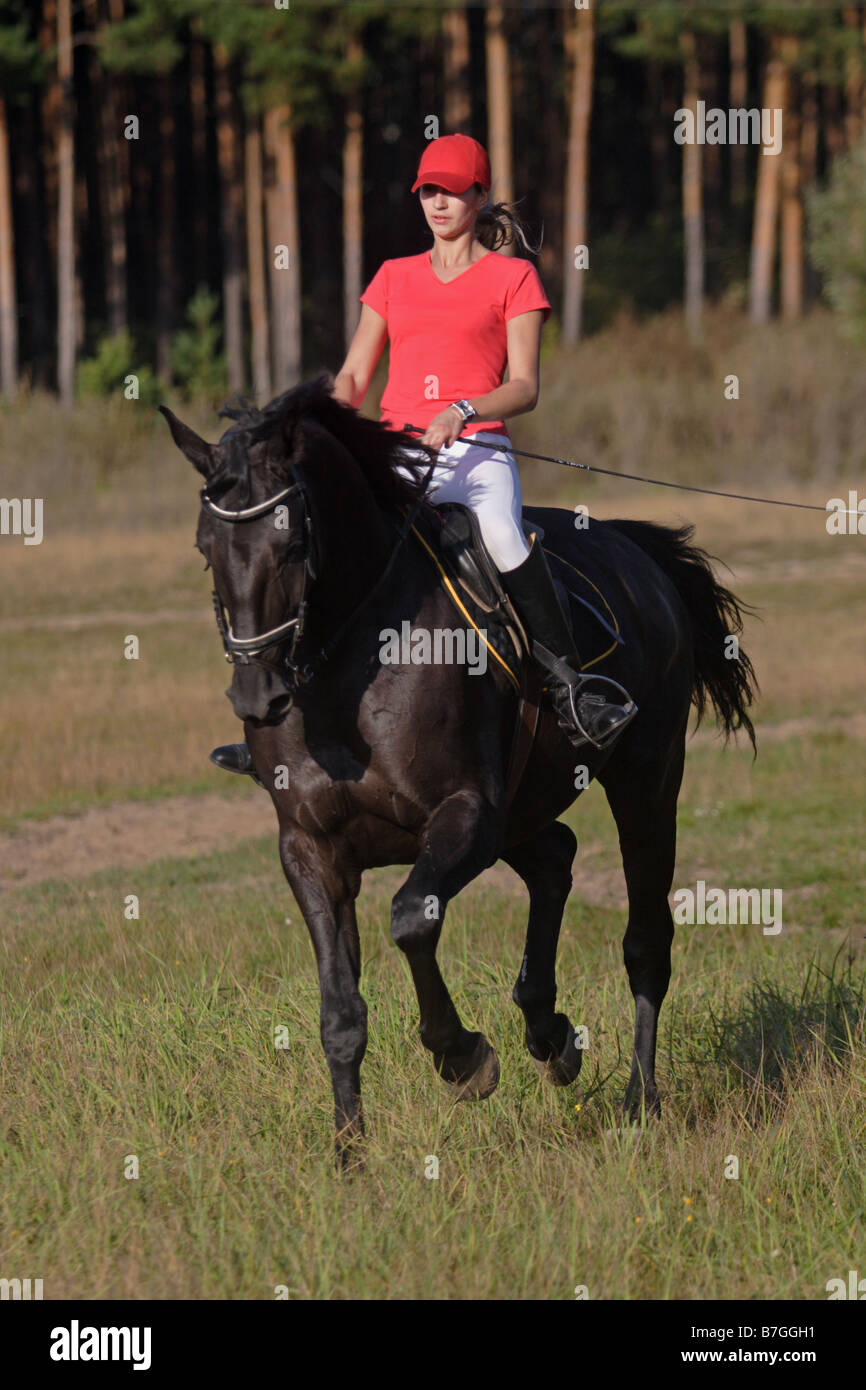 Young rider galloping in autumn Stock Photo - Alamy
