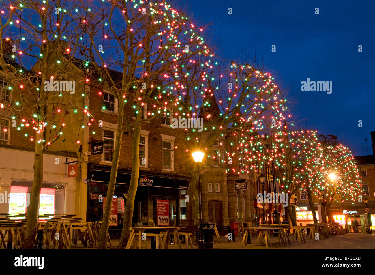 Trees covered in lights in Chesterfield at night during Christmas ...