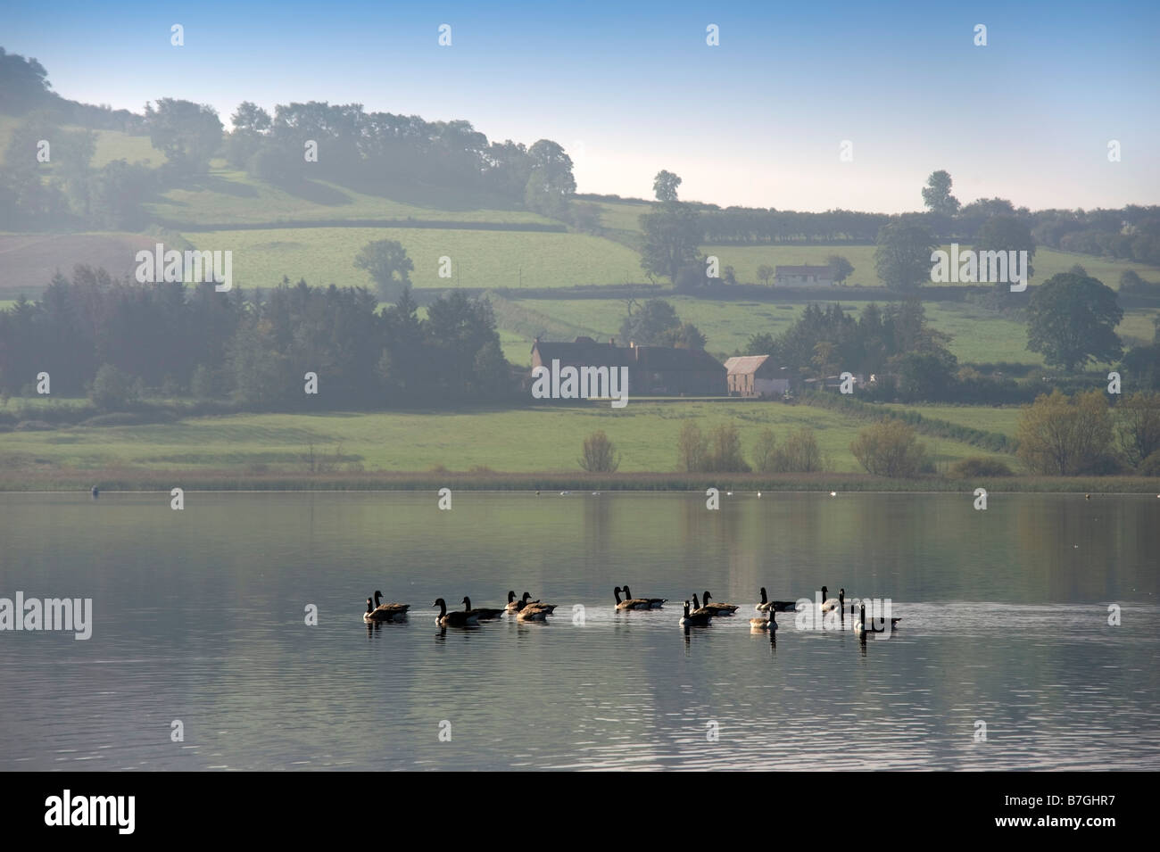 llangorse lake llangors powys brecon beacons national park wales uk ...