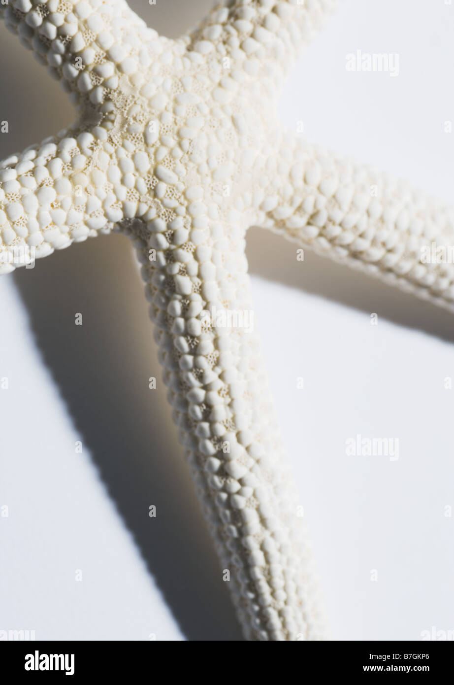 Starfish figure hi-res stock photography and images - Alamy