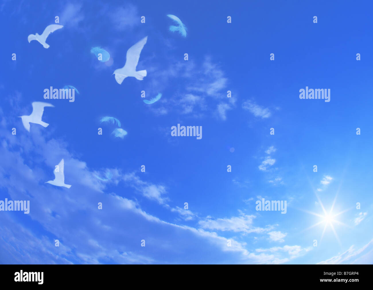 Birds flying against blue sky Stock Photo - Alamy
