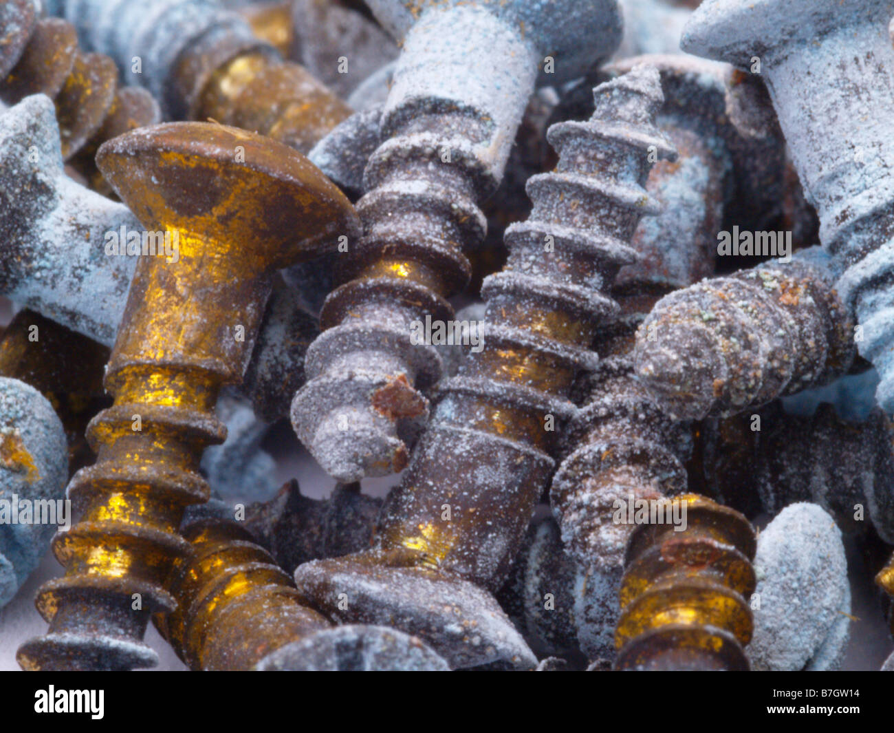 old corroded brass screws for use as a background Stock Photo - Alamy