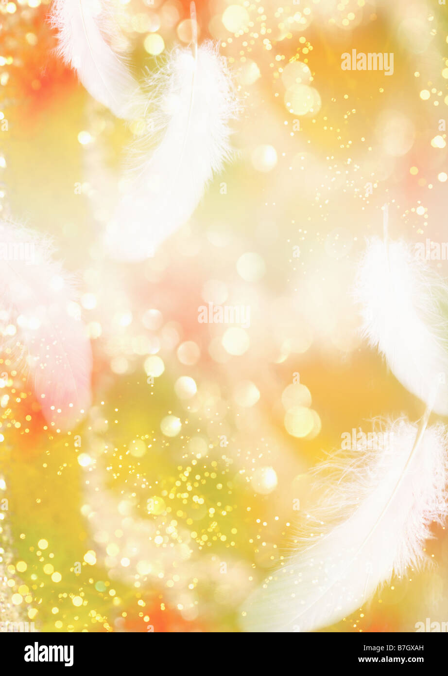 Feather blessing hi-res stock photography and images - Alamy