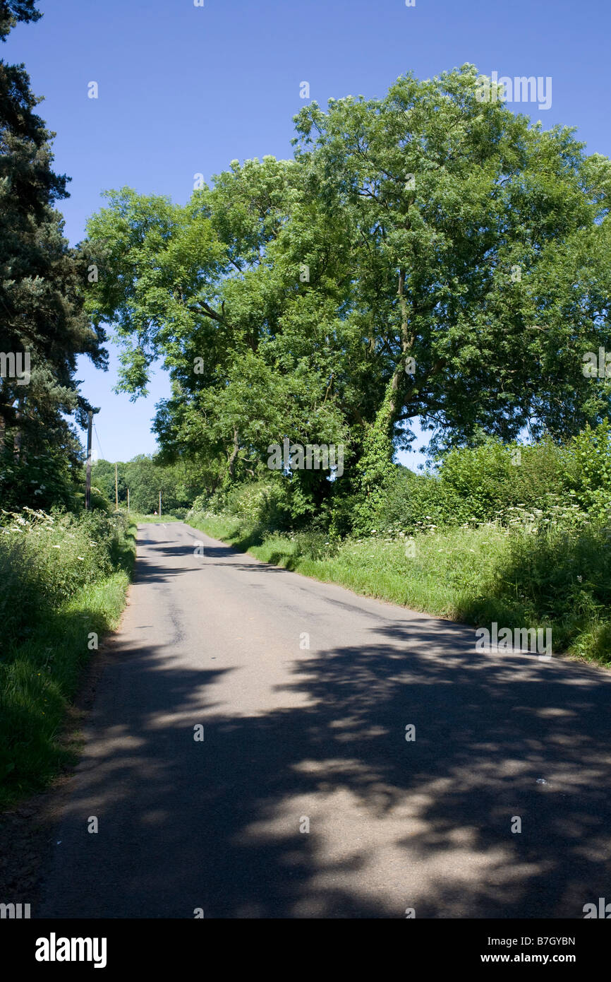 Shaded Road Stock Photos & Shaded Road Stock Images - Alamy