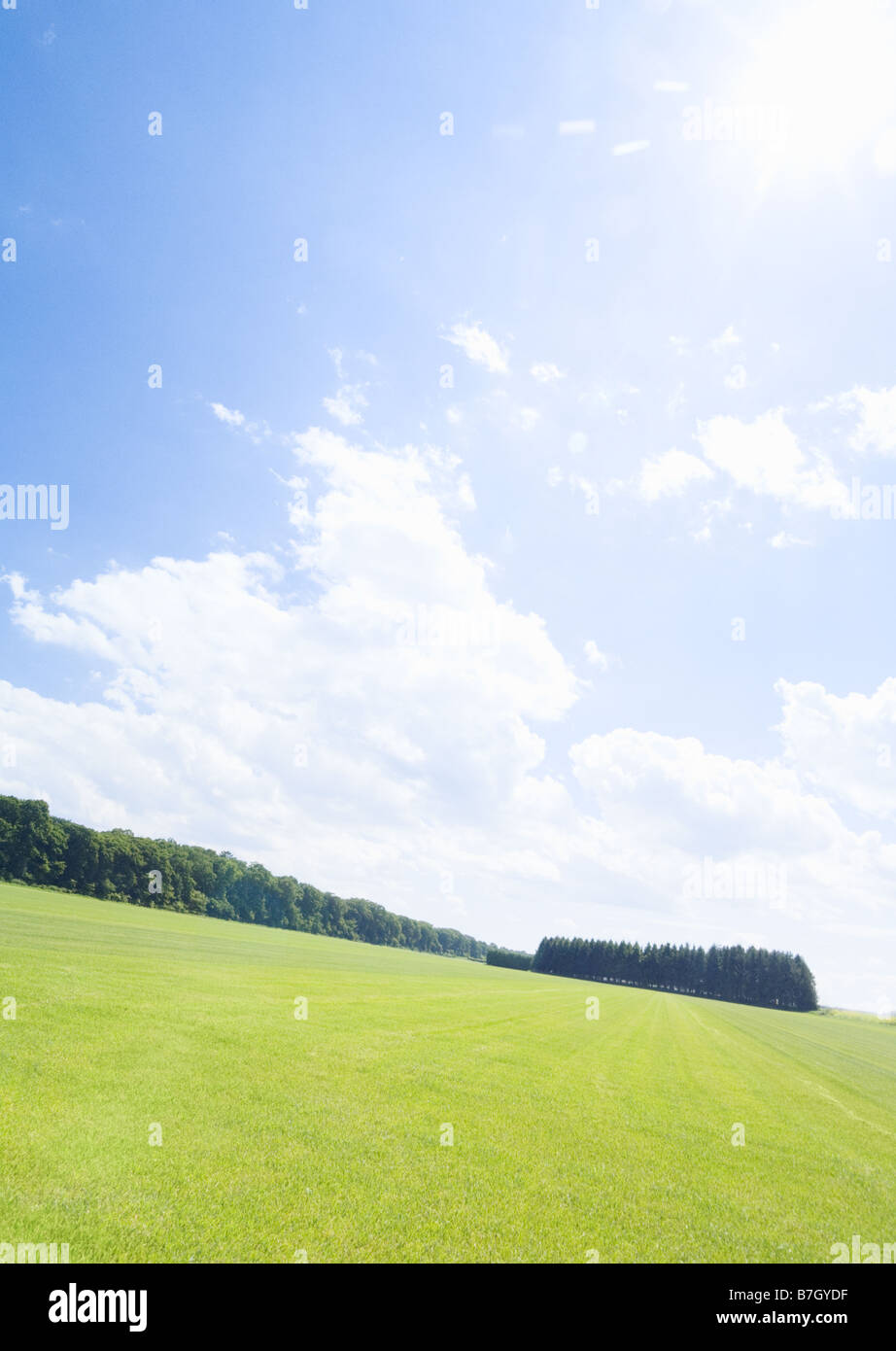 Blue sky and lawn Stock Photo - Alamy
