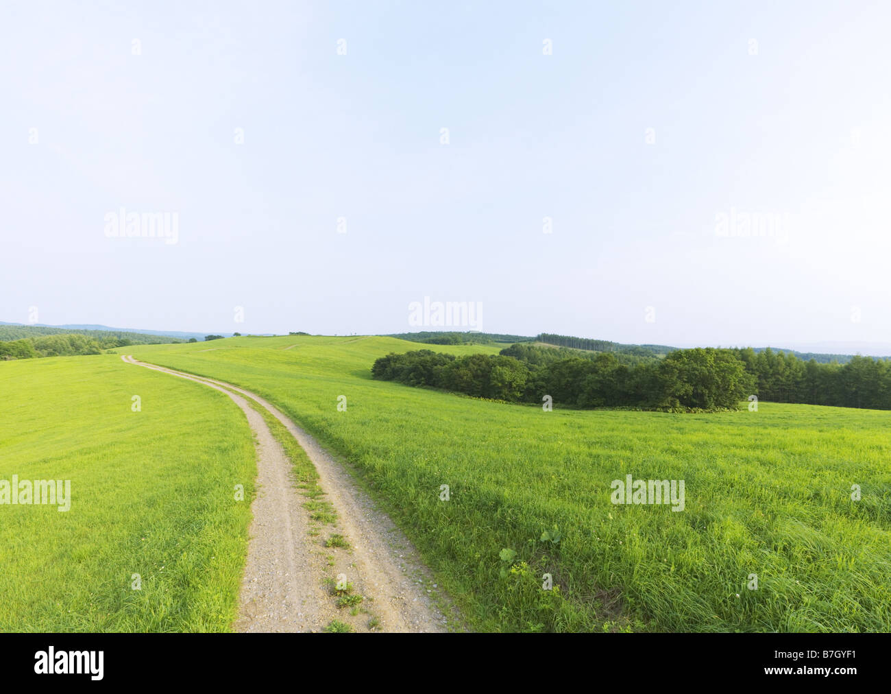 Blue sky and the path in the field Stock Photo - Alamy