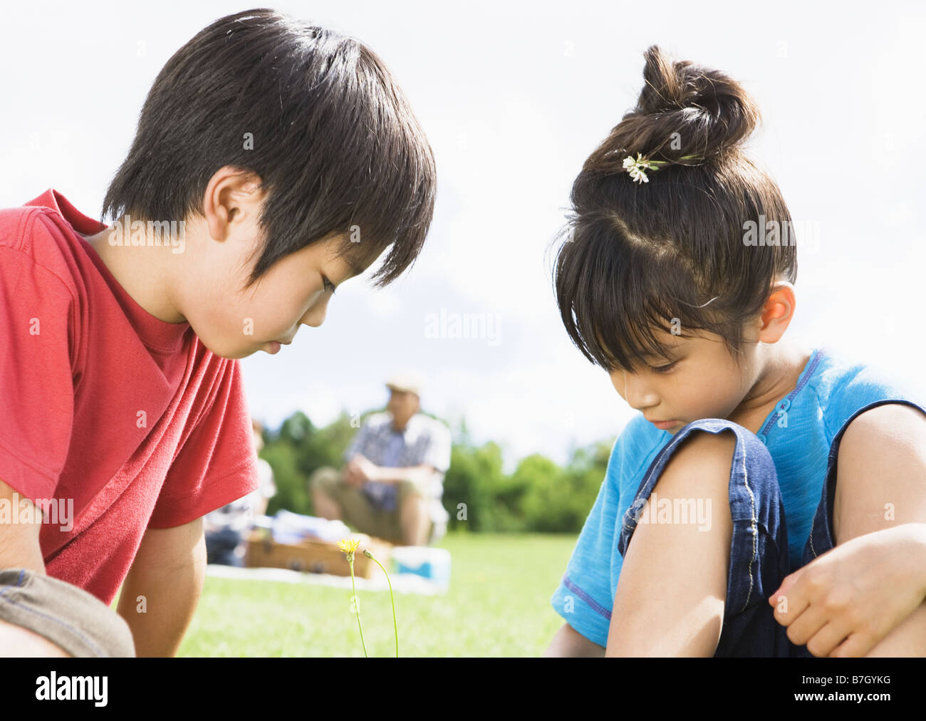 Children looking at flower Stock Photo - Alamy
