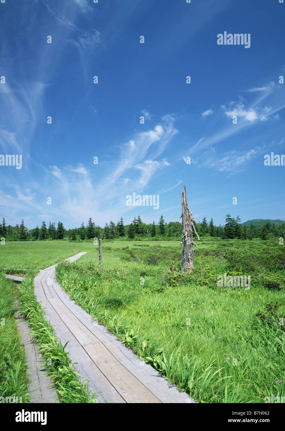 Numa numa trail hi-res stock photography and images - Alamy