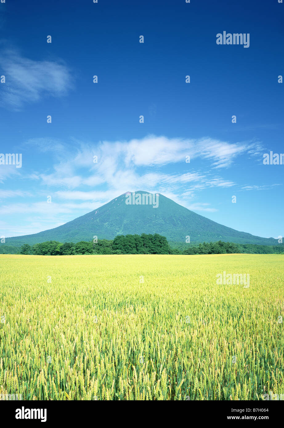 Mt yotei hokkaido japan hi-res stock photography and images - Alamy