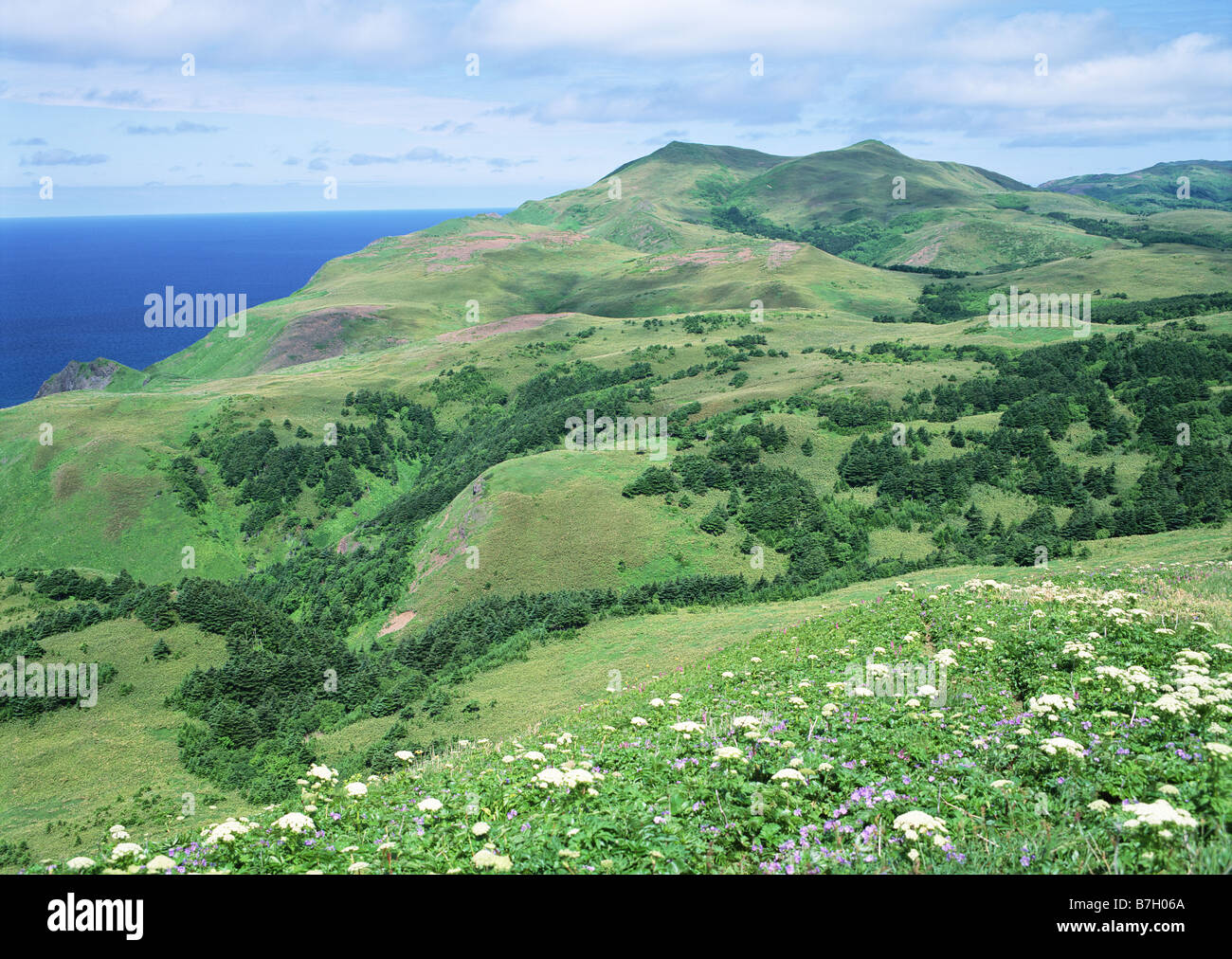 Rebun island hi-res stock photography and images - Alamy