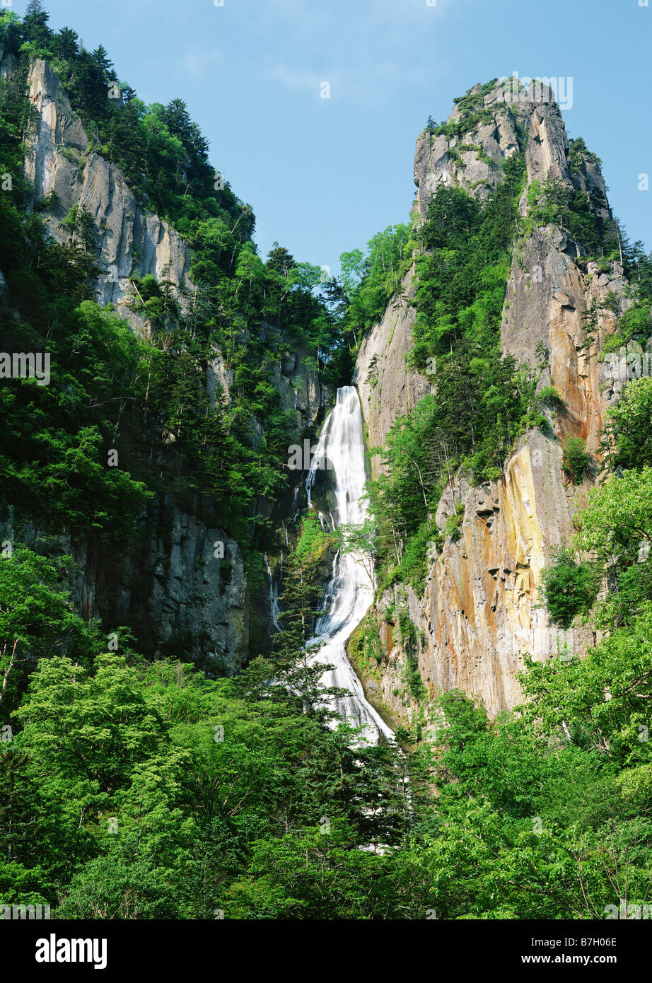 Kamikawa forest hi-res stock photography and images - Alamy