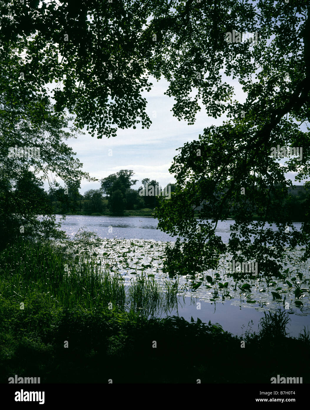 Loch Ken, Castle Douglas Dumfries and Galloway Scotland Stock Photo - Alamy
