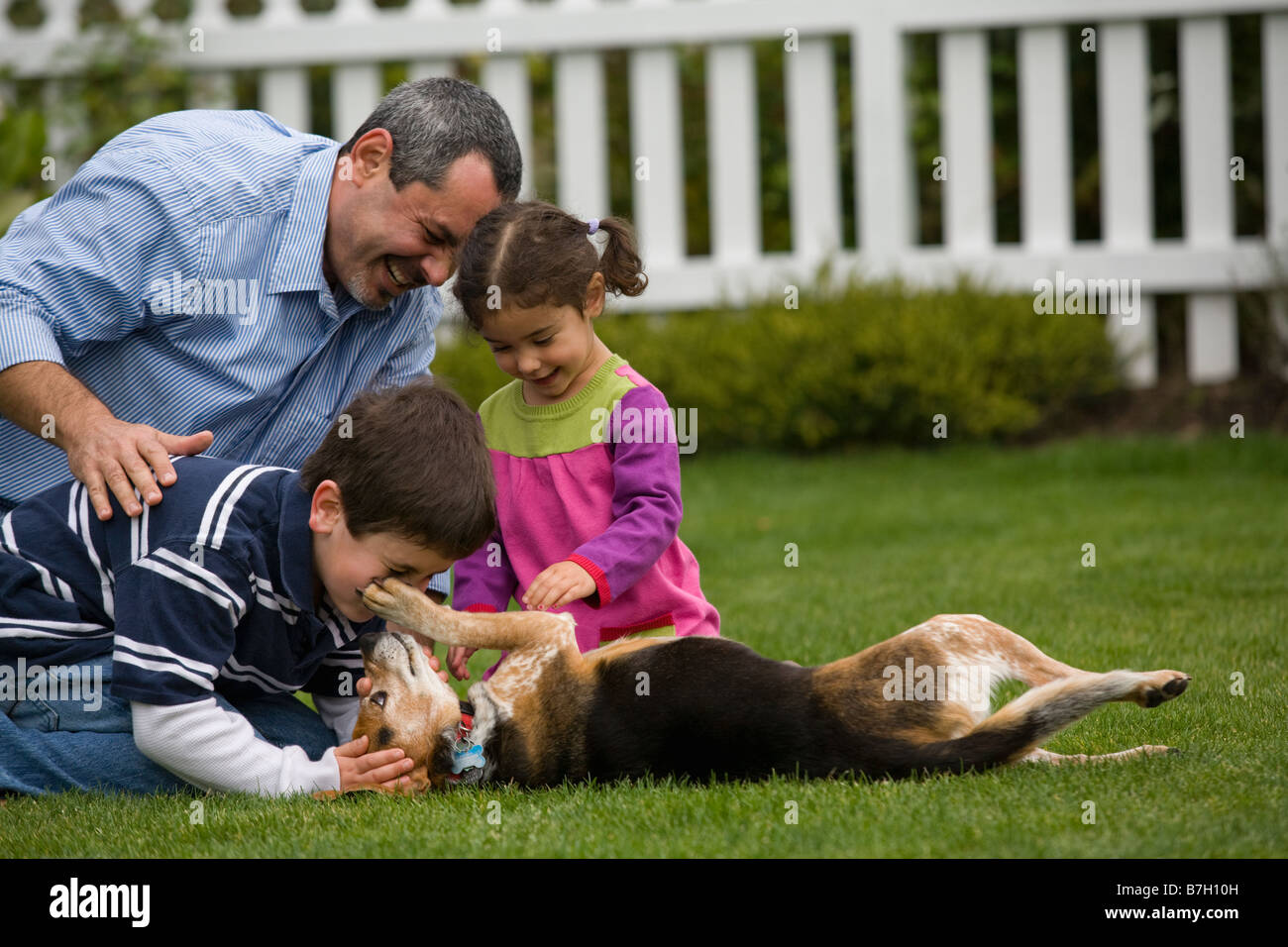 Family playing with dog in backyard Stock Photo - Alamy