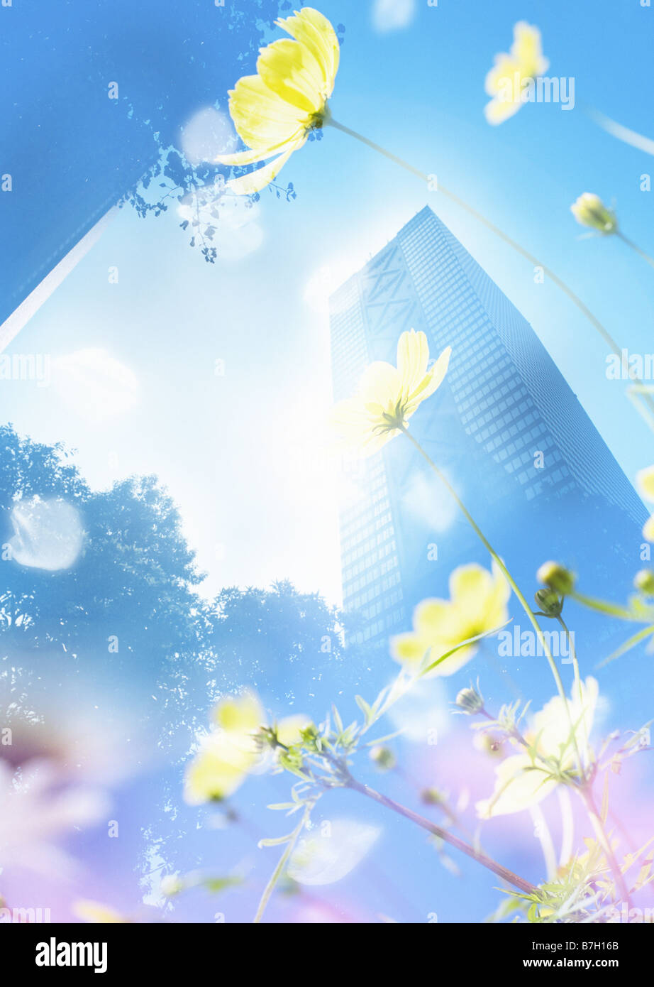 Buildings with flowers hi-res stock photography and images - Alamy