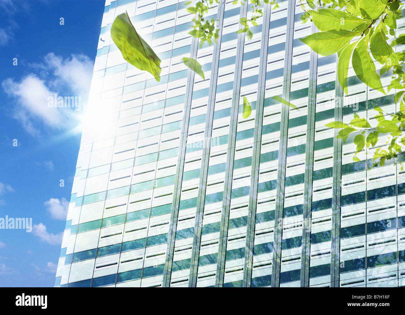 Tall building and leaves Stock Photo - Alamy
